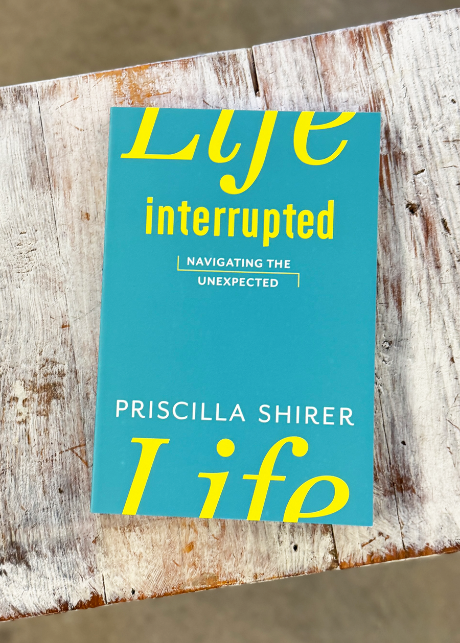Life Interrupted Book – Palmetto Twist
